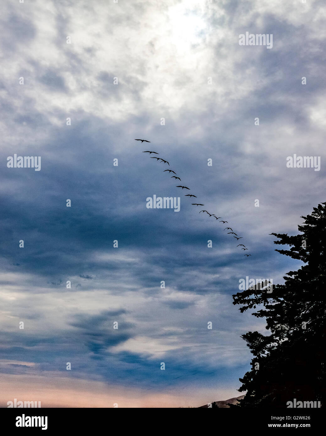 Oil spill cleanup hi-res stock photography and images - Alamy