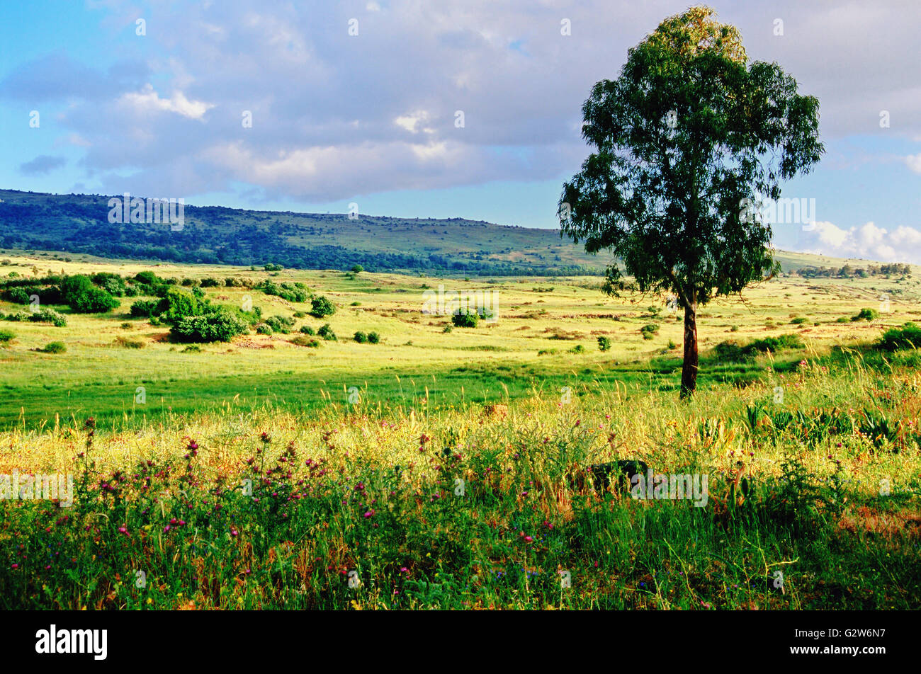 Golan heights israel hi-res stock photography and images - Alamy