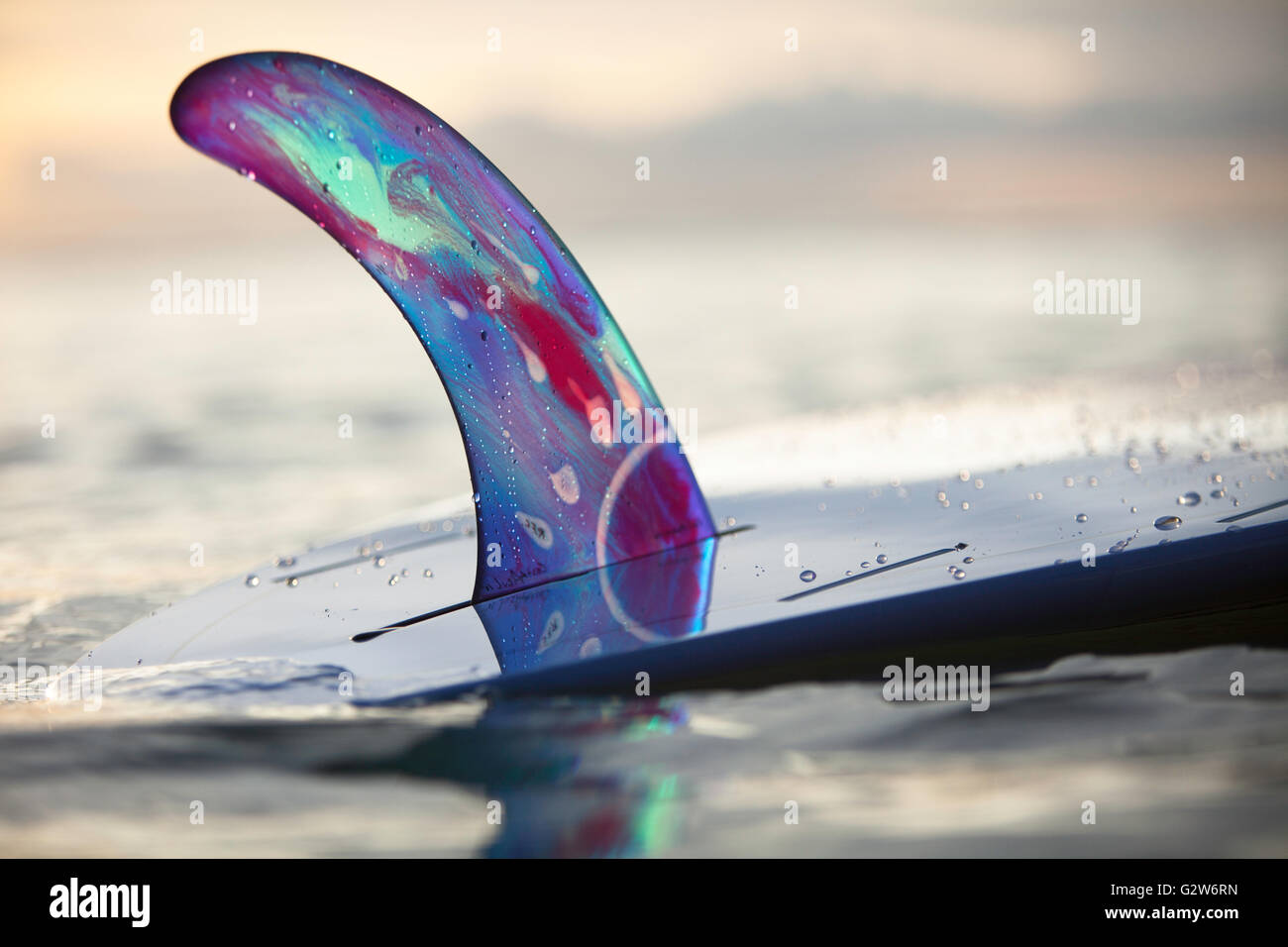 Fin and skeg hi-res stock photography and images - Alamy