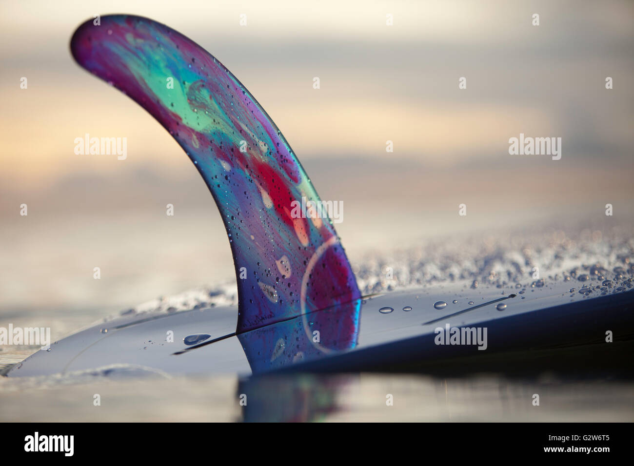 Closeup of Rainbow Fin Company single fin(skeg) on custom Kanaiupuni ...