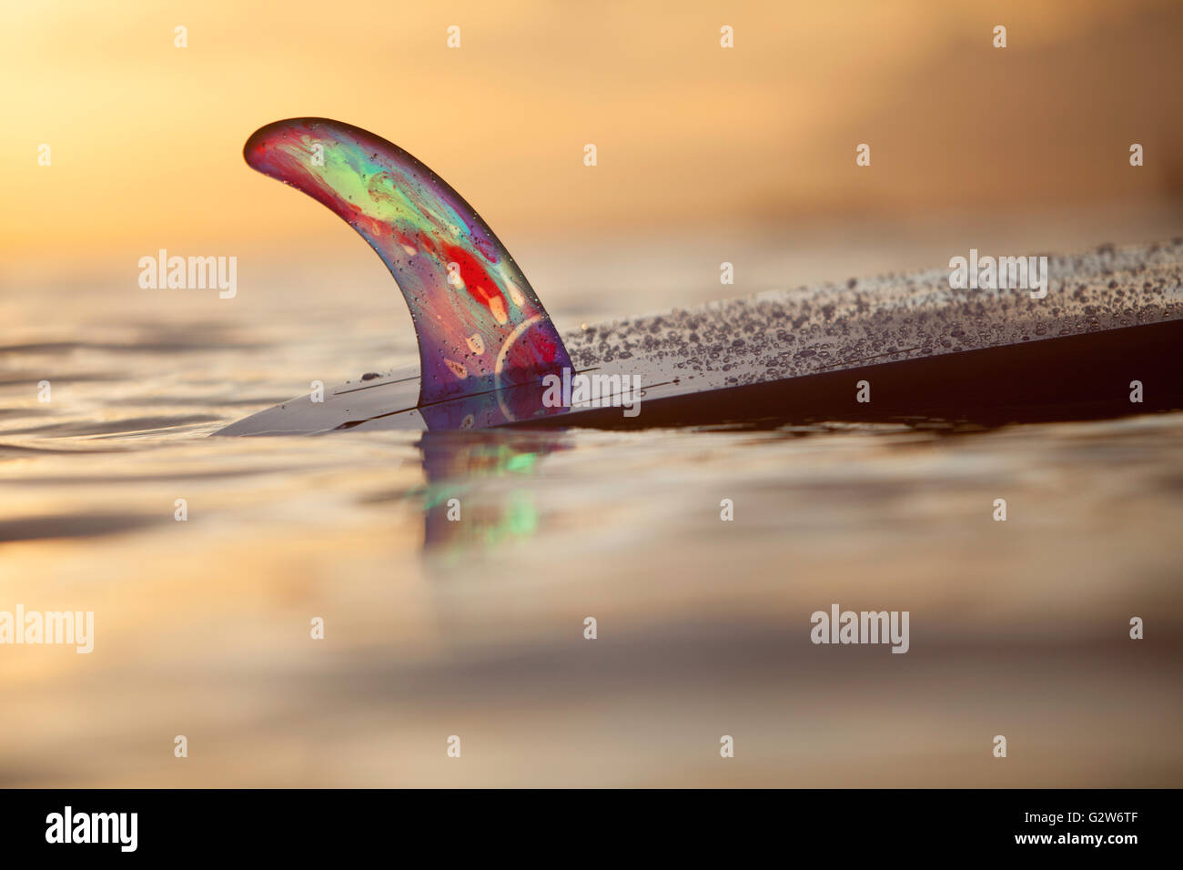 Closeup of Rainbow Fin Company single fin(skeg) on custom Kanaiupuni ...