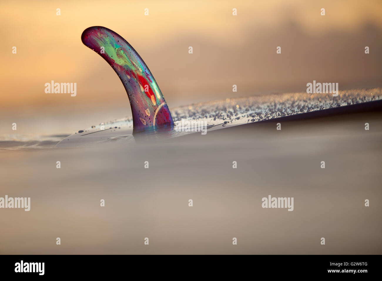 Fin and skeg hi-res stock photography and images - Alamy