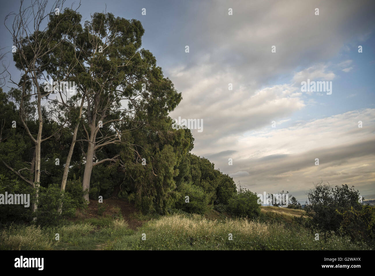 Montecito heights hi-res stock photography and images - Alamy