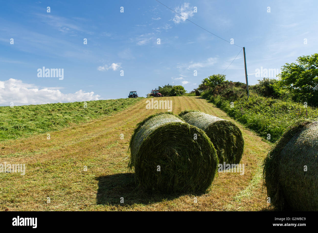 Ballydehob, Ireland. 3rd June 2016. On a beautiful June day, bails of ...