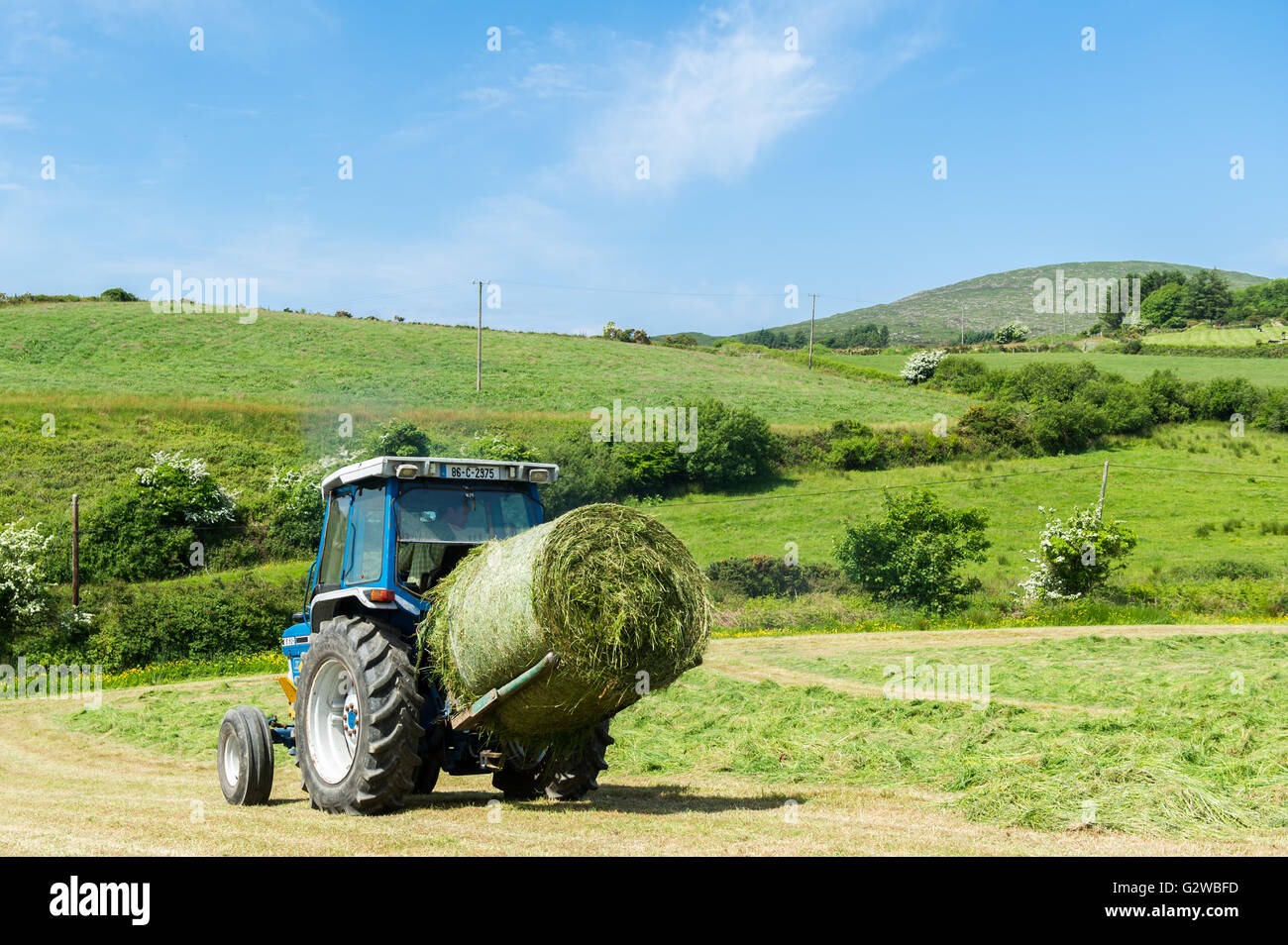 Ballydehob, Ireland. 3rd June 2016. On a beautiful June day, an Irish ...