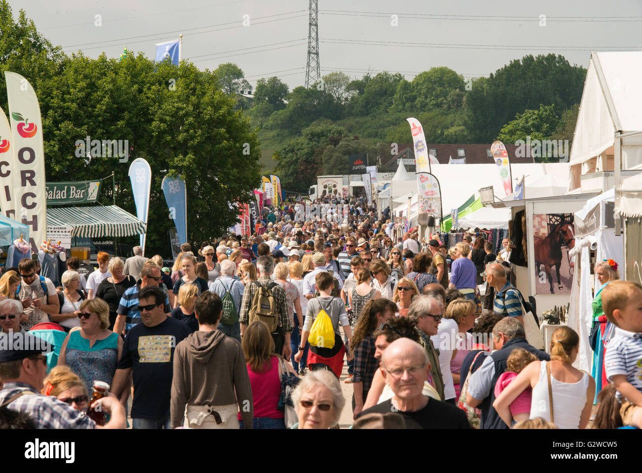 Shepton Mallet, UK. 3rd June, 2016. Crowds without social distancing ...
