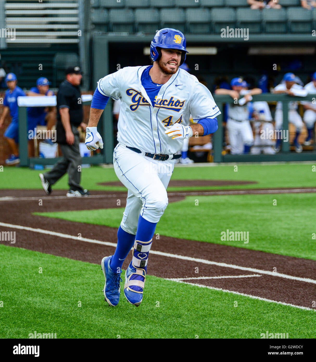 June 3, 2016 - Austin Bush #44 running to first during the Division 1 ...