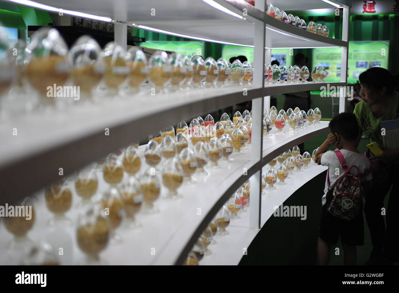 Beijing, China. 4th June, 2016. Visitors look at various seeds ...