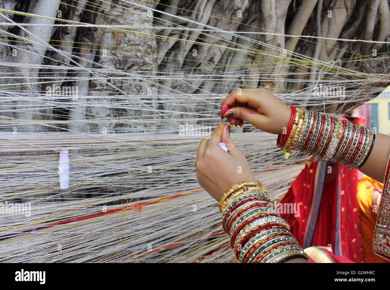 Banyan tree threads hi-res stock photography and images - Alamy