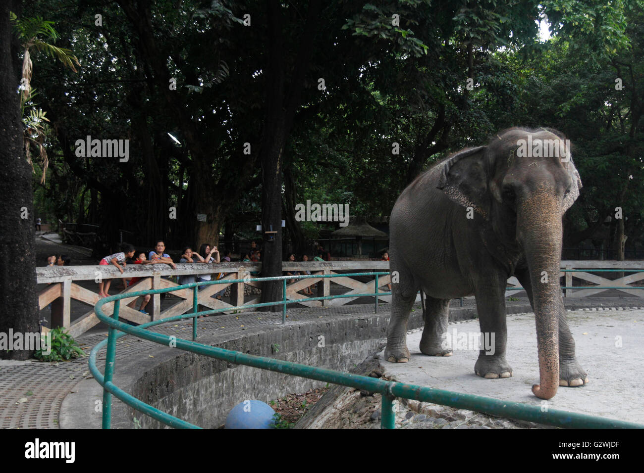 Manila, Philippines. 04th June, 2016. Visitors look at a Sri Lankan ...