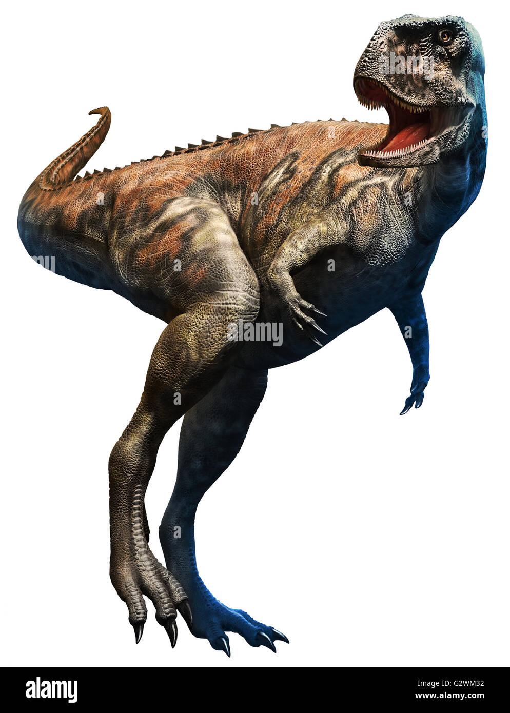 Skorpiovenator hi-res stock photography and images - Alamy