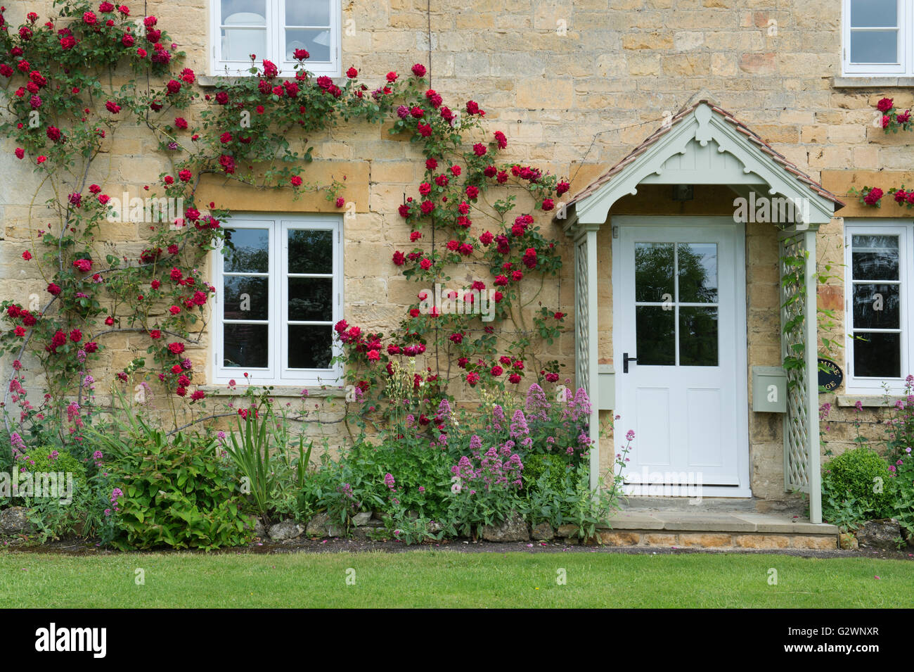 Climbing rose around front door hi-res stock photography and images - Alamy