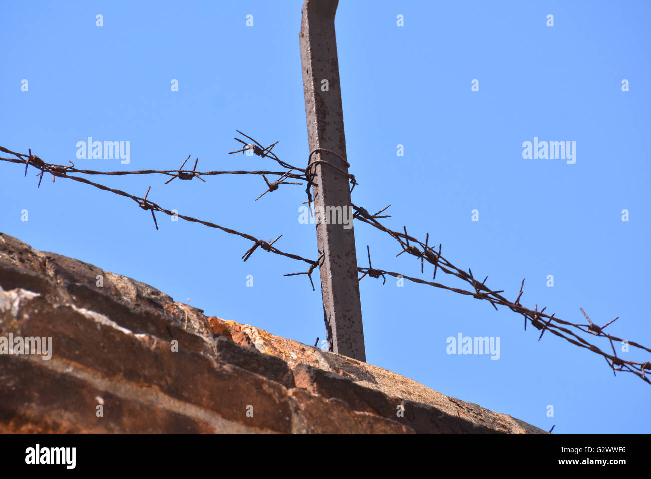 Photo Picture of the Dangerous Barbed Wire on the blue sky Stock Photo ...