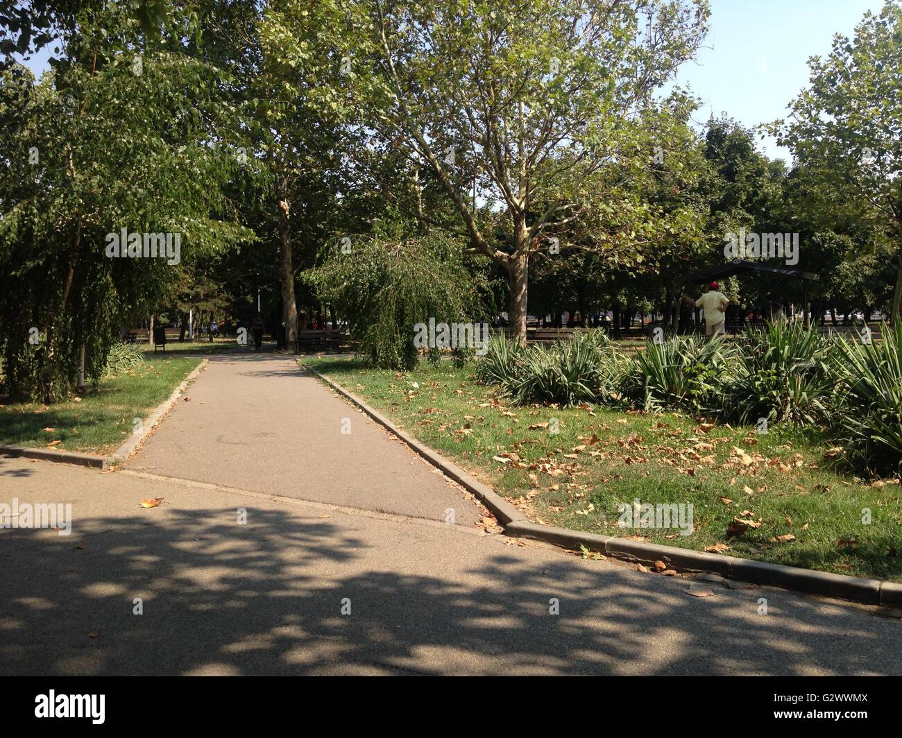 Beautiful crossroads in Park Stock Photo - Alamy