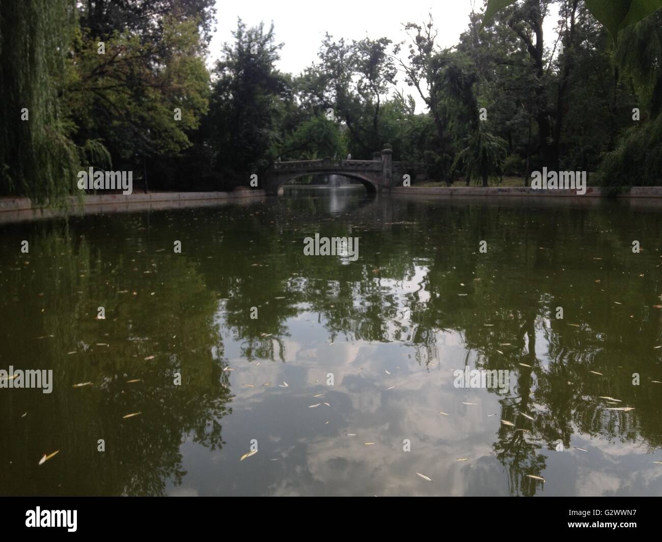 Beautiful park large lake hi-res stock photography and images - Alamy