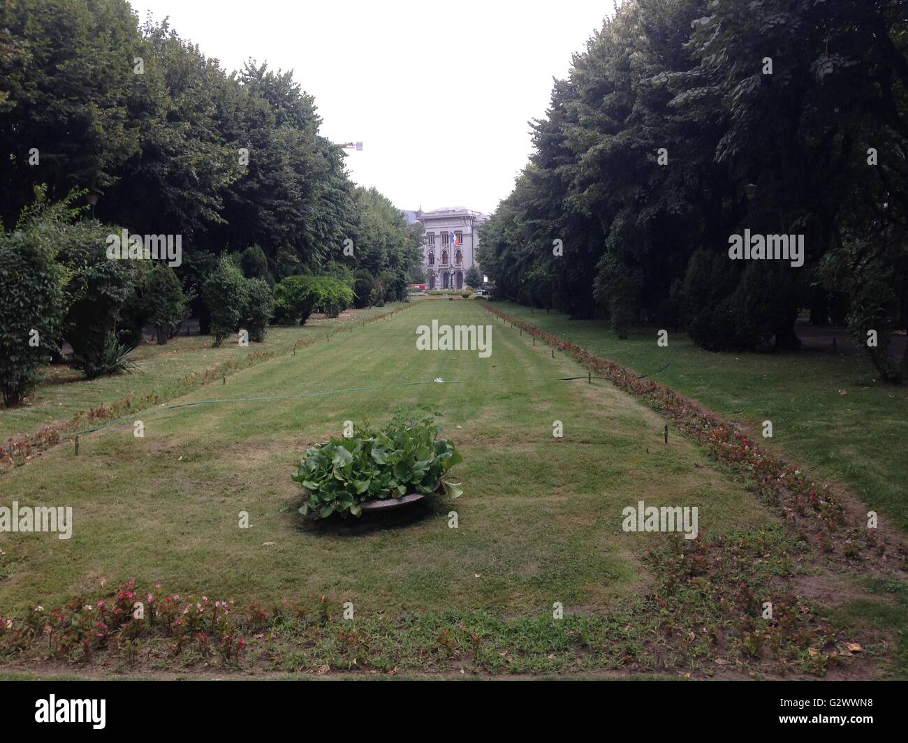 Beautiful view in Park Stock Photo - Alamy