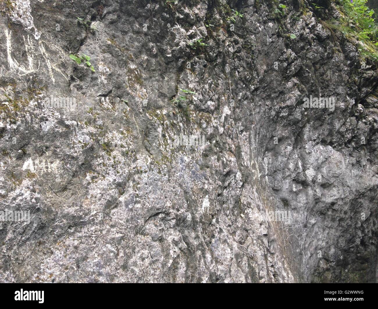 Rock grass sun hi-res stock photography and images - Alamy