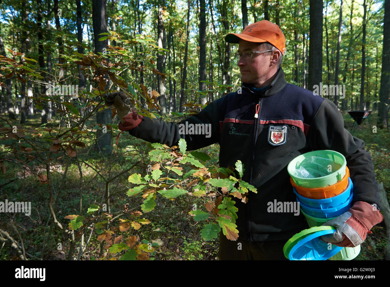 Frank teich hi-res stock photography and images - Alamy