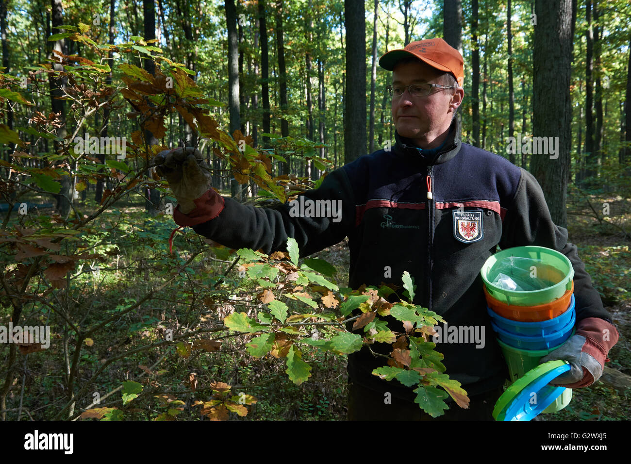 Teich frank hi-res stock photography and images - Alamy