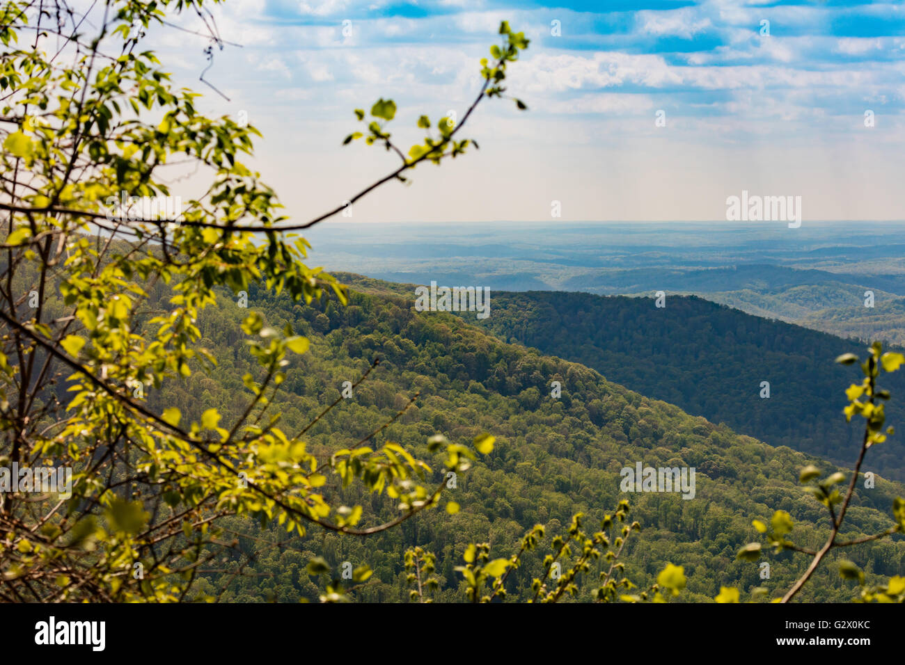 Frozen Head State Park Tennessee High Resolution Stock Photography and ...