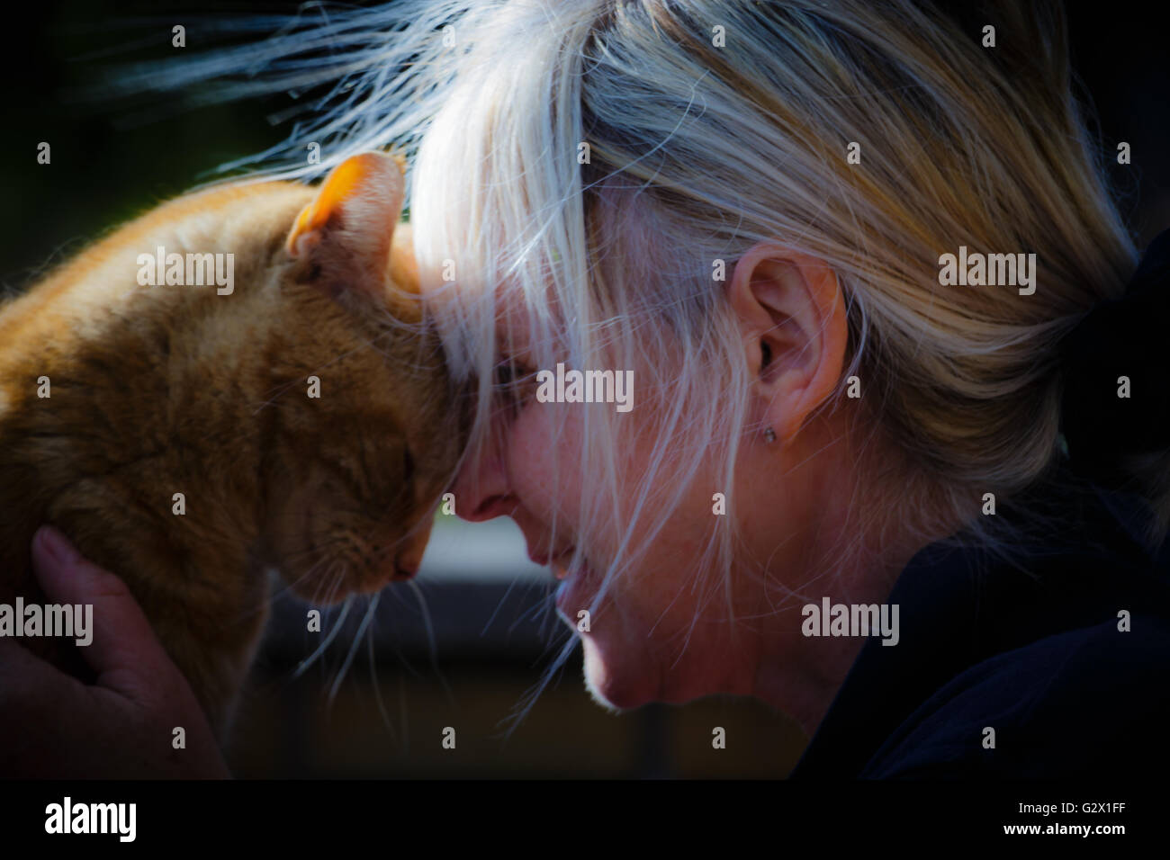 Cat bonding hi-res stock photography and images - Alamy
