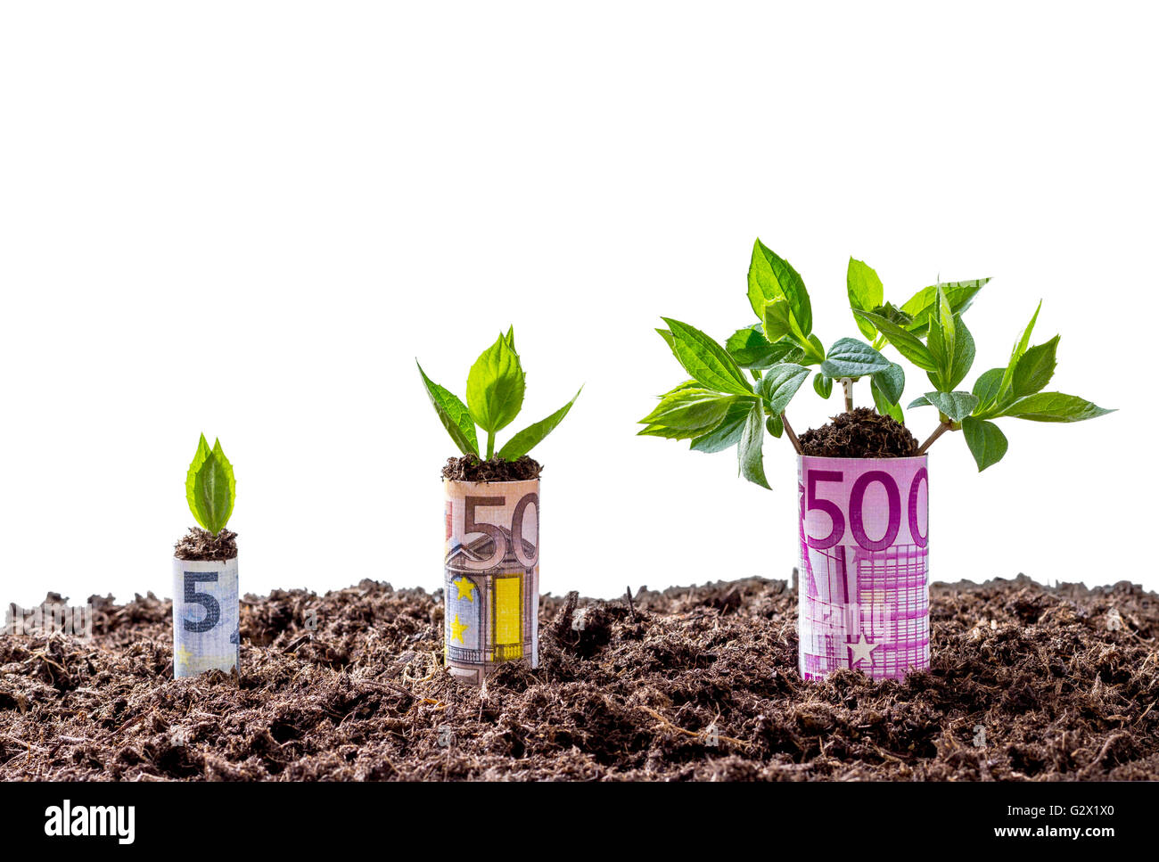 Euro money growth on trees, isolated background Stock Photo - Alamy