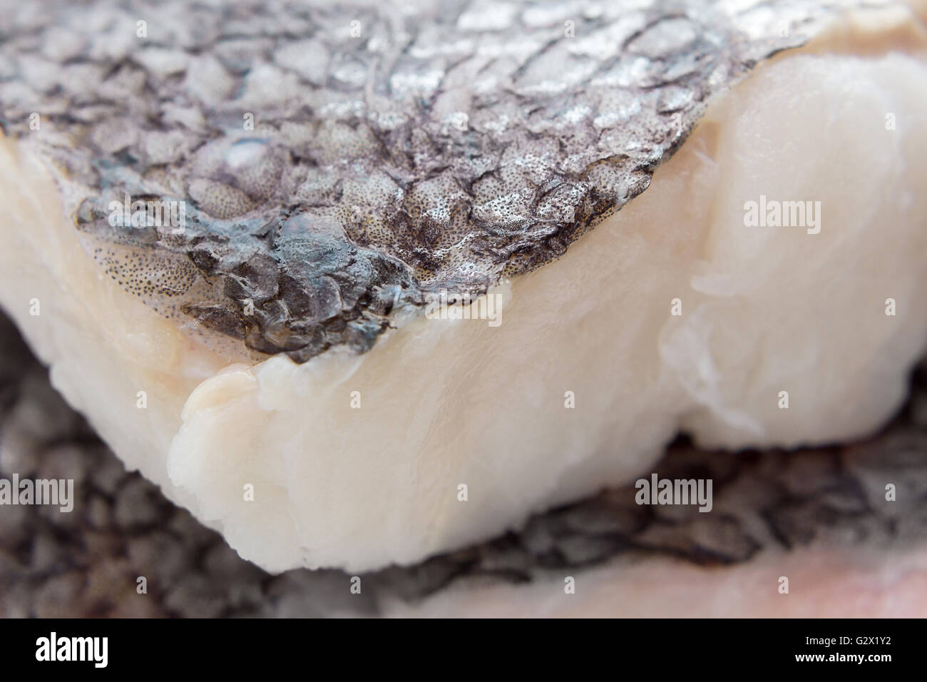 Hake fillet with skin, macro, as background, soft focus Stock Photo - Alamy
