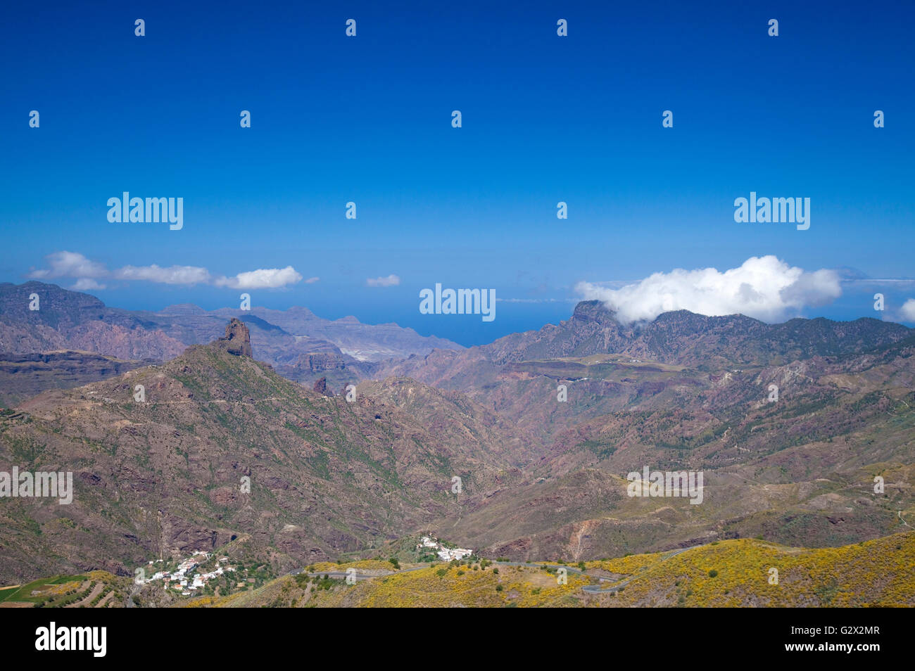 Mirador de becerra hi-res stock photography and images - Alamy