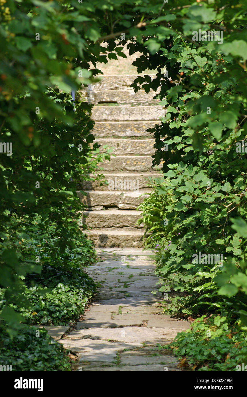 Steps leading up from paved path Stock Photo - Alamy