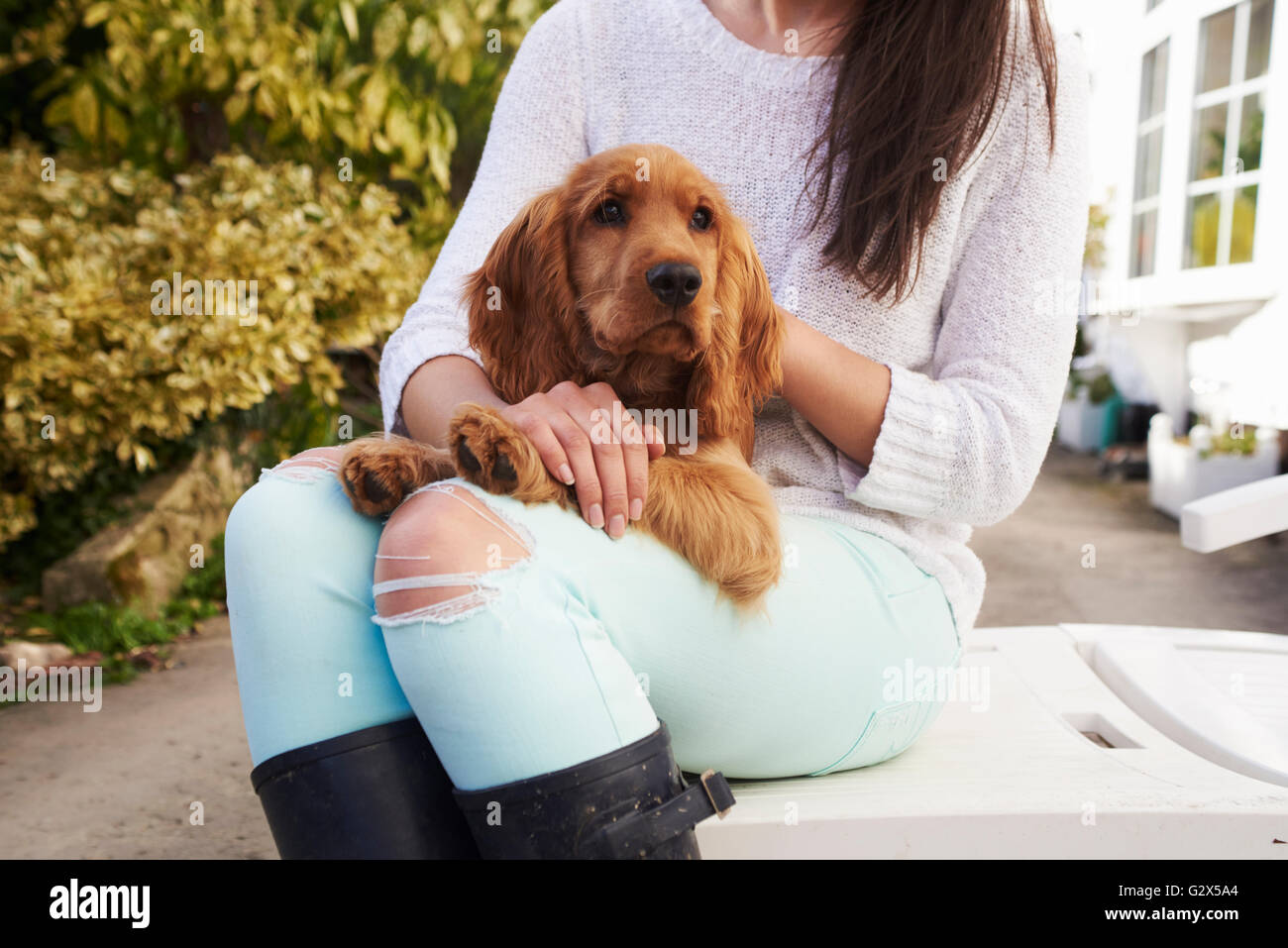 Close Up Of Cocker Spaniel Owner Cuddling Dog After Walk Stock Photo ...