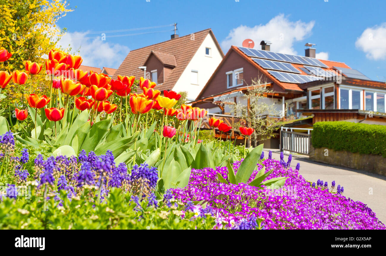 Colorful garden in a village Stock Photo - Alamy
