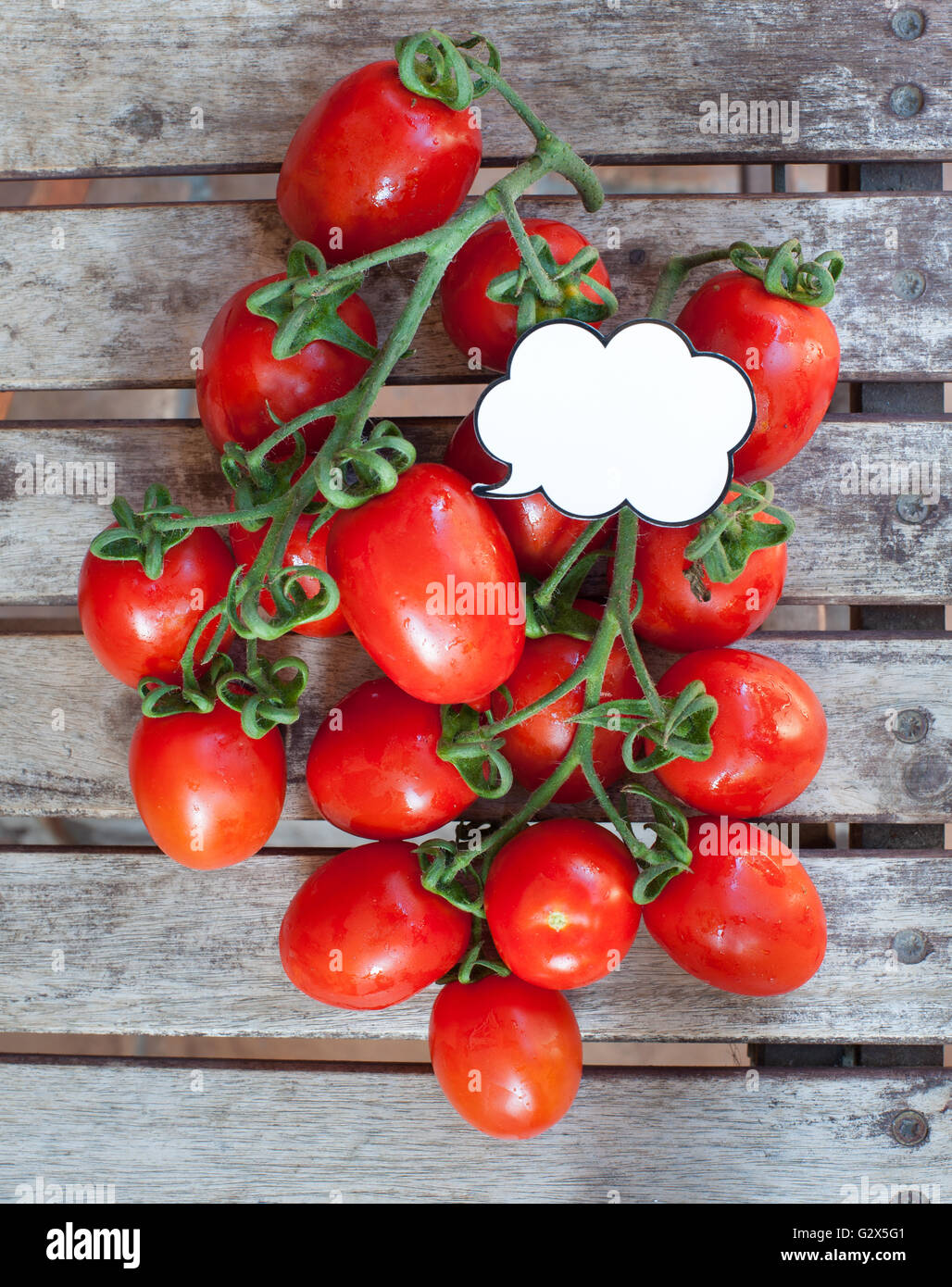 Branch of red ripe cherry tomatoes with white comic style label on ...