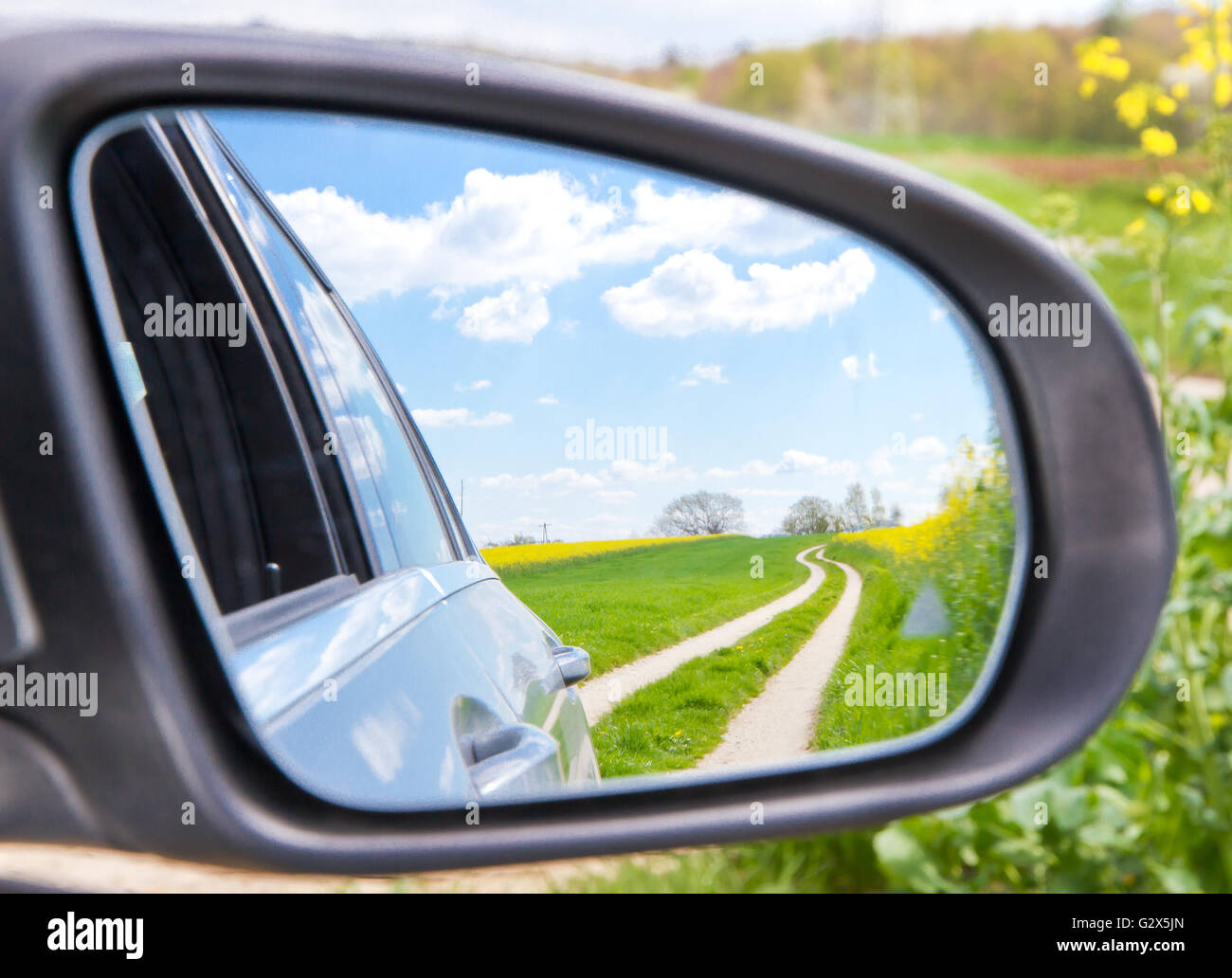 Nature path in a mirror of a modern car Stock Photo - Alamy