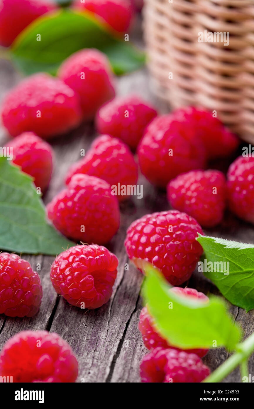 Bunch of raspberries picked from the garden Stock Photo - Alamy