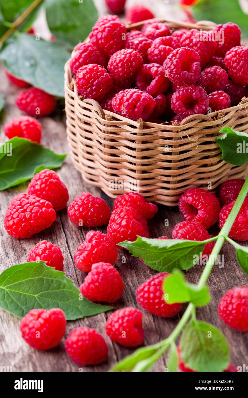 Bunch of raspberries picked from the garden Stock Photo - Alamy