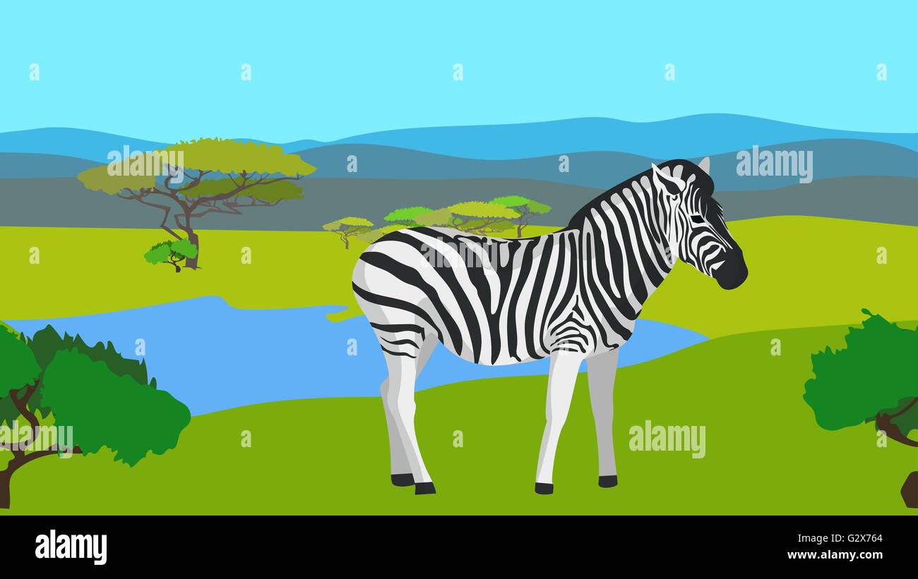Zebra in the field with green grass, horisontal patterns seamless ...