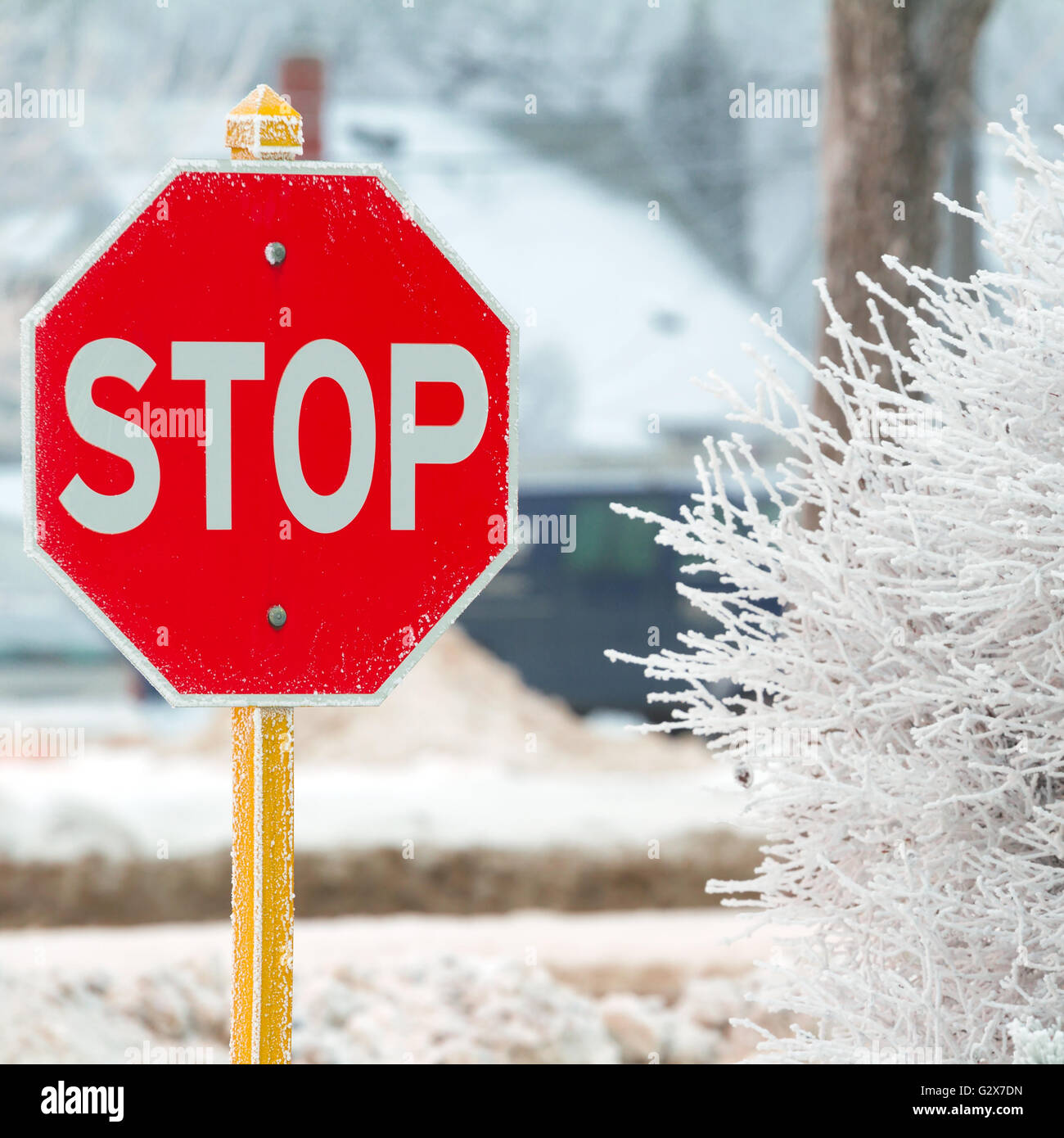 Stop stop hi-res stock photography and images - Alamy