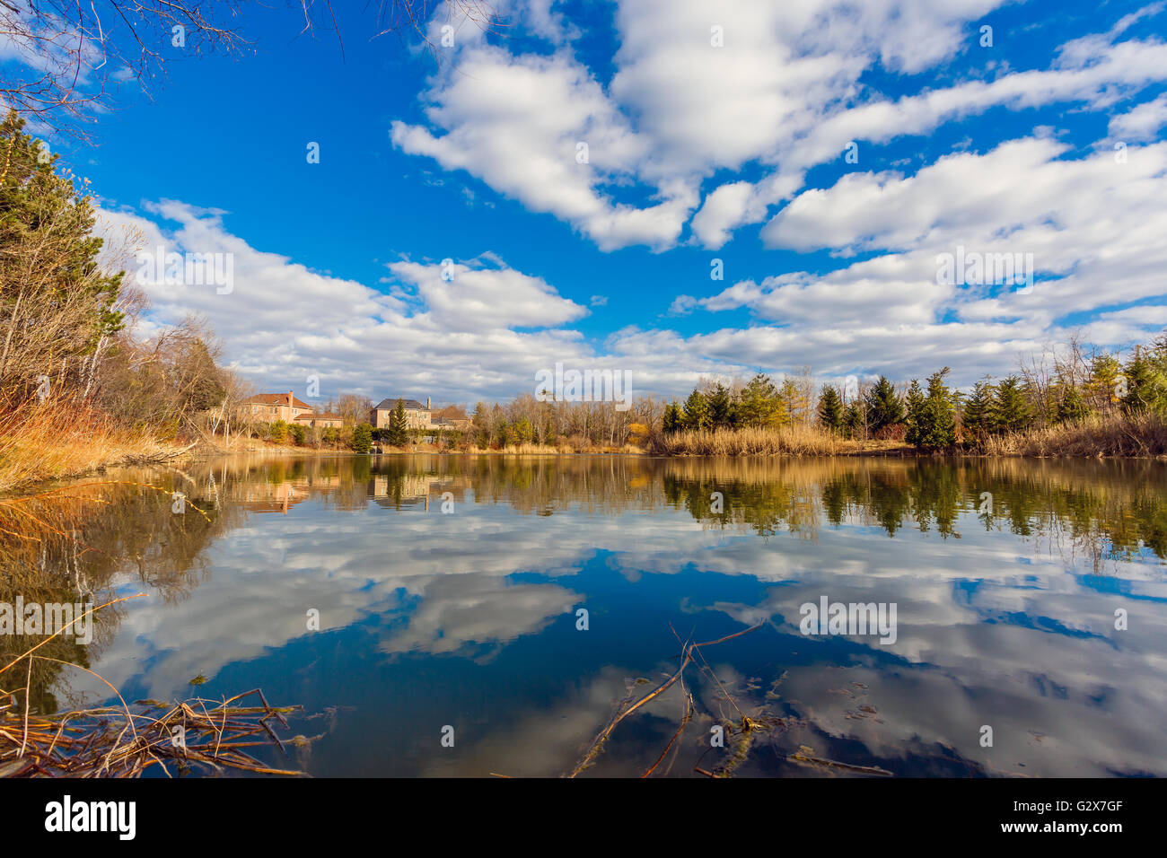 Sunny meadow pond hi-res stock photography and images - Alamy