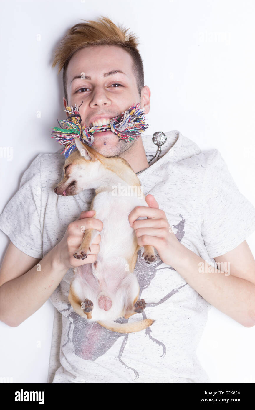 Elevated view Chihuahua dog playing boy hand, back Stock Photo - Alamy