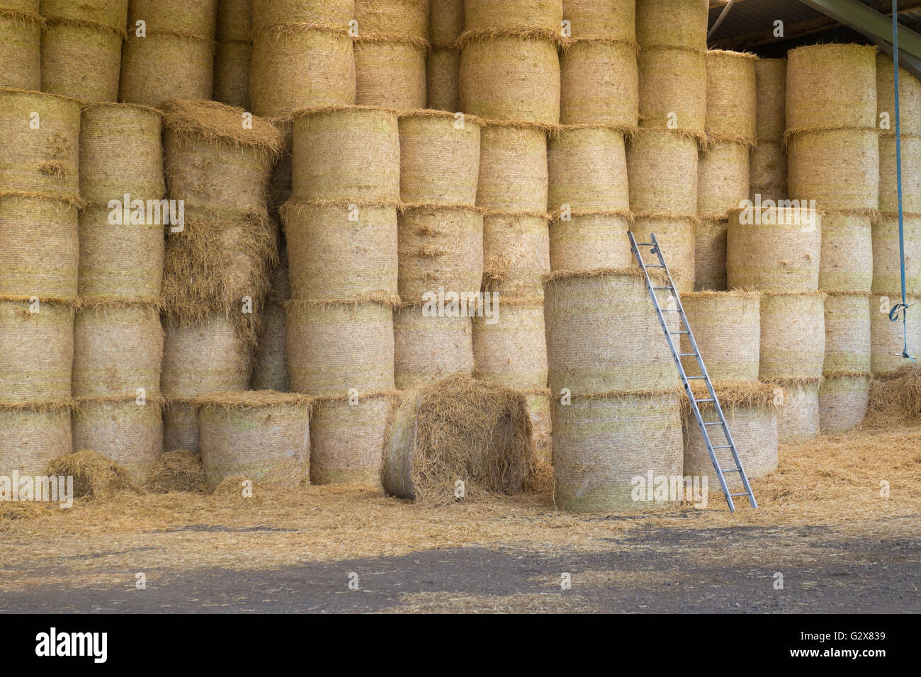 Stacked ladders hi-res stock photography and images - Alamy