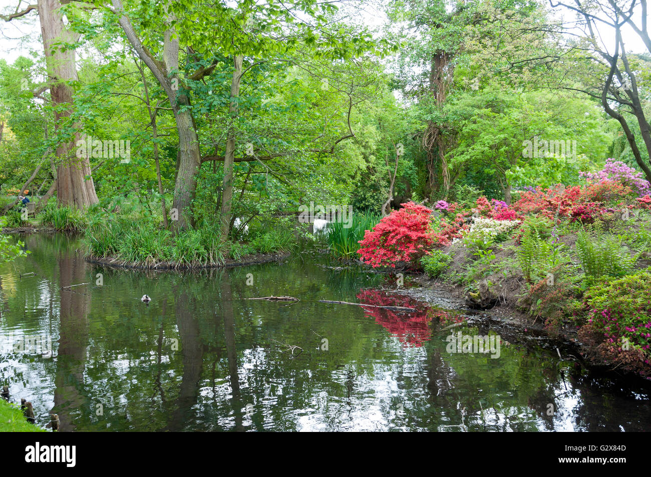 Woodland gardens bushy park richmond hi-res stock photography and ...