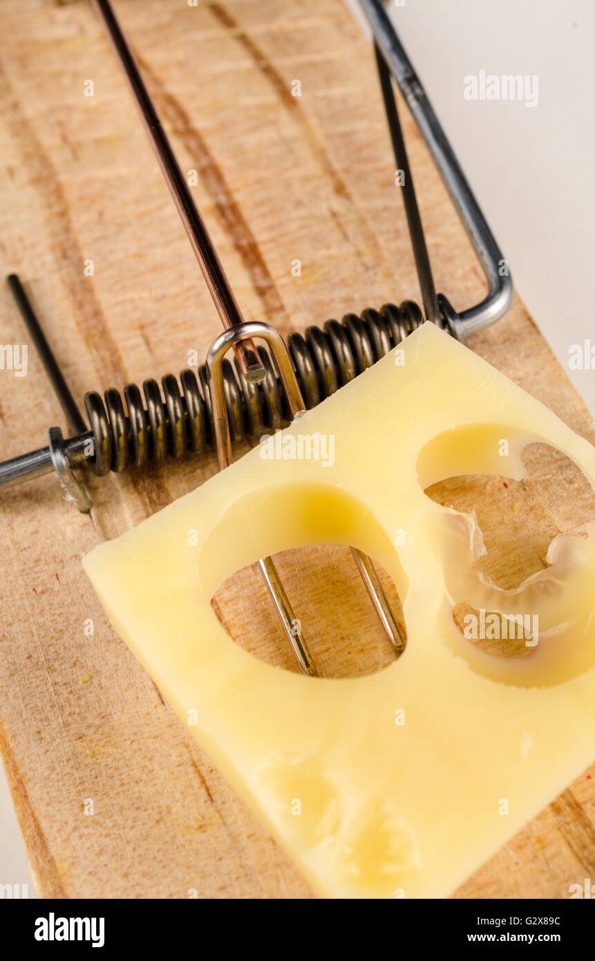 Cheese on a mouse trap, a conceptual shot Stock Photo - Alamy