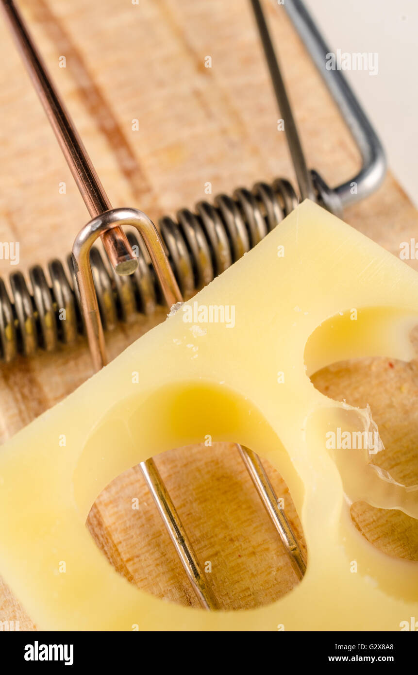 Cheese on a mouse trap, a conceptual shot Stock Photo - Alamy