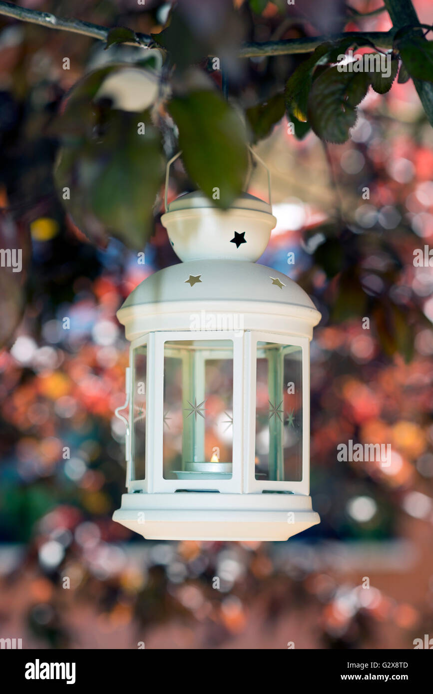 Hanging tree light hi-res stock photography and images - Alamy