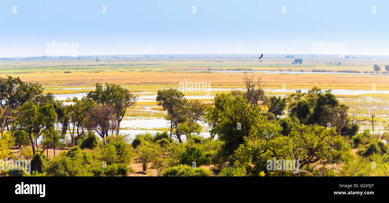 Botswana landscape panorama hi-res stock photography and images - Alamy