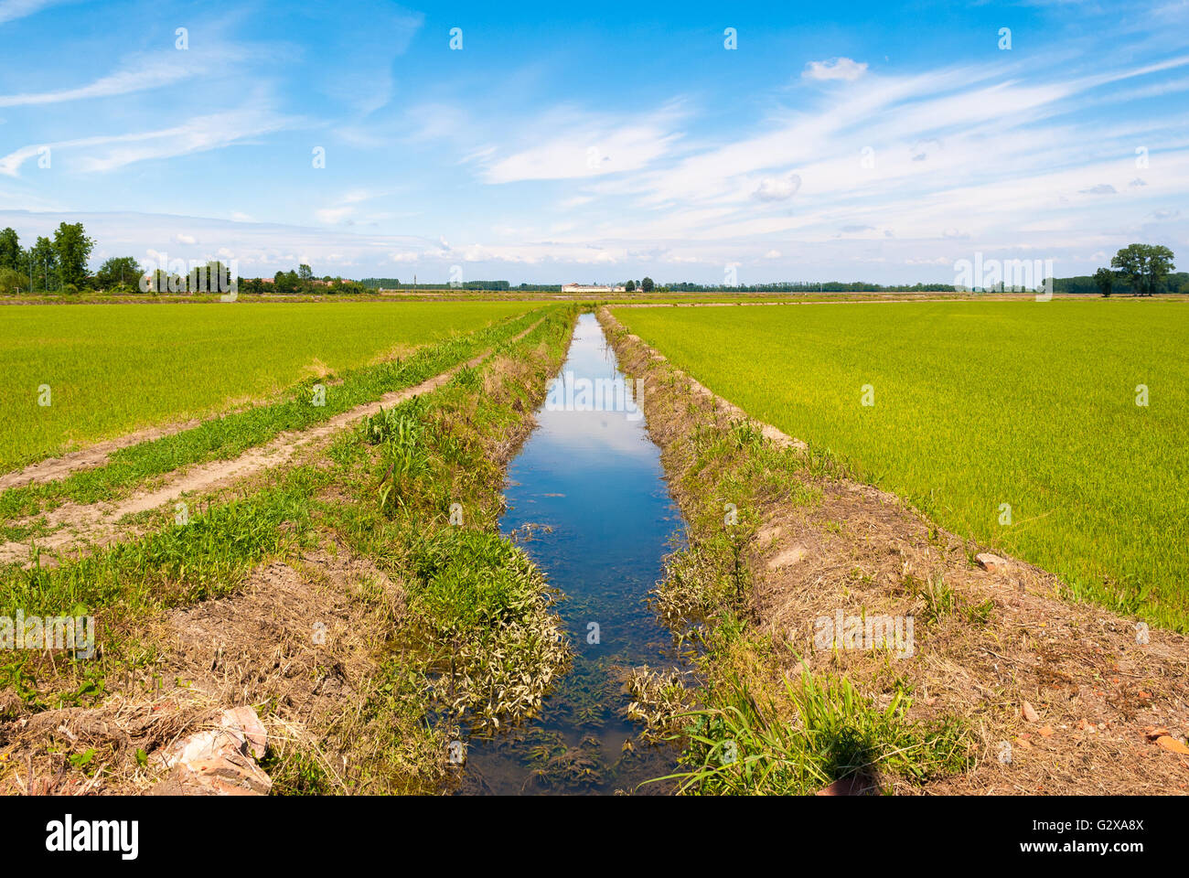Canal for the irrigation of cultivated fields Stock Photo - Alamy