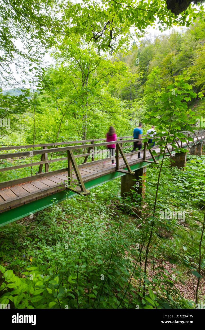 Kamacnik nature hi-res stock photography and images - Alamy