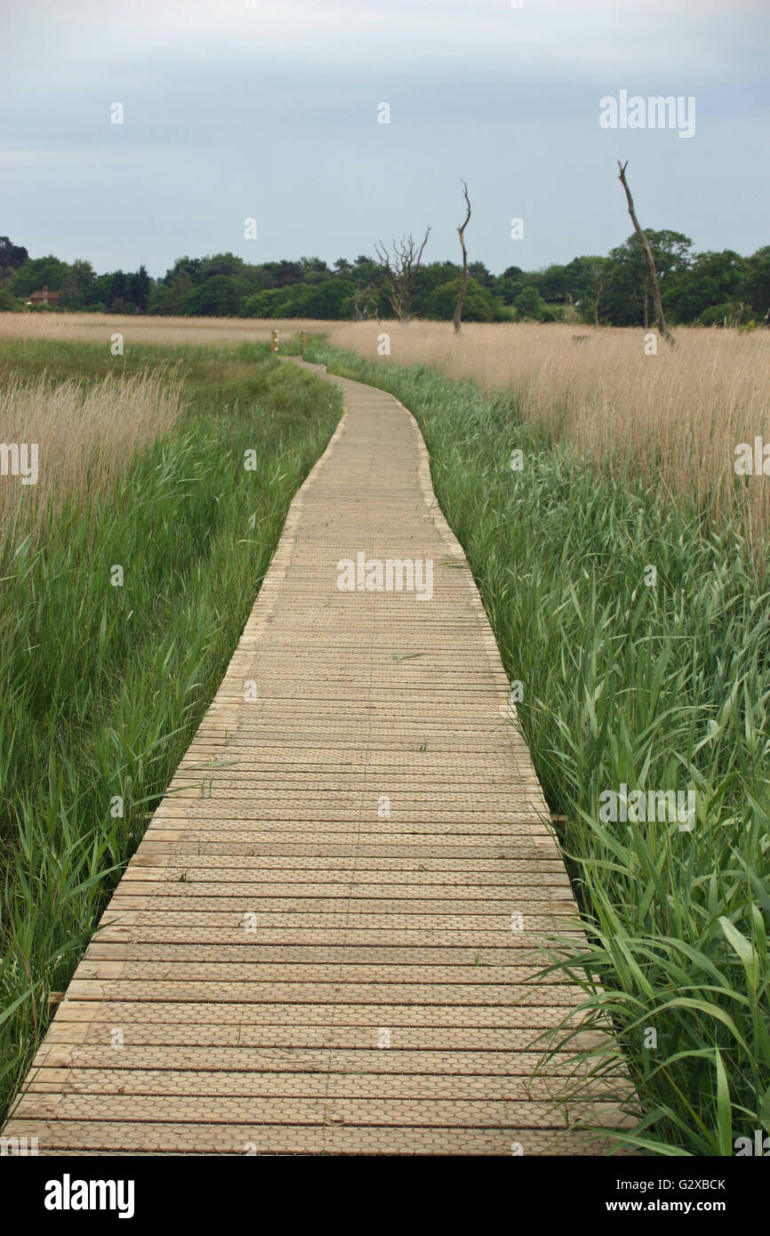 Raised wooden boardwalk Stock Photo - Alamy
