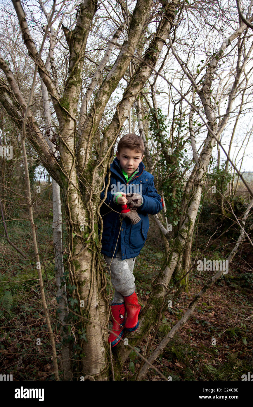 Young boy in tree Stock Photo - Alamy
