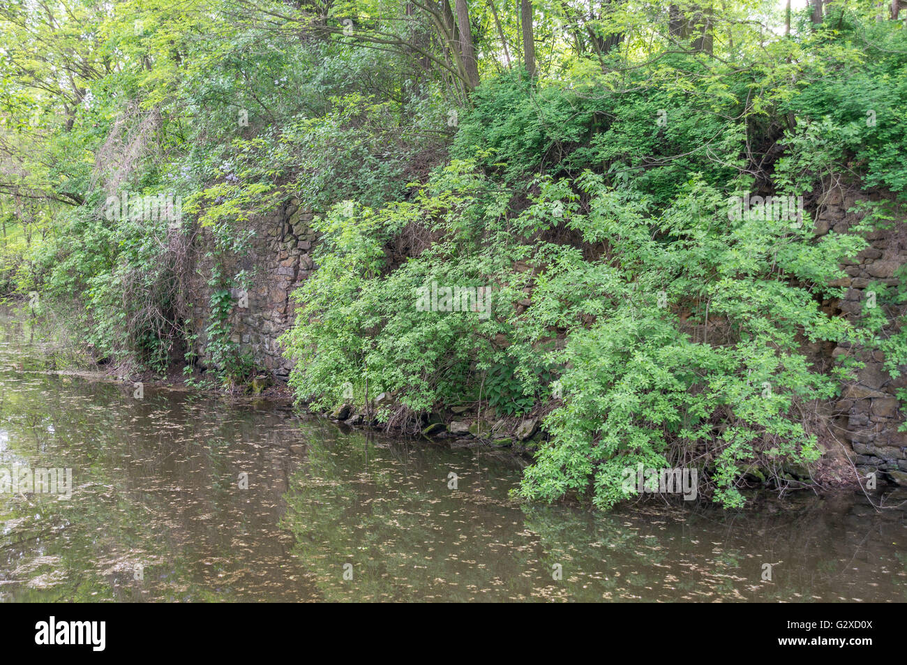 Lush spring hi-res stock photography and images - Alamy